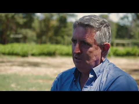 An Open Bottle | Episode Two | Chief Viticulturalist Dave Botting