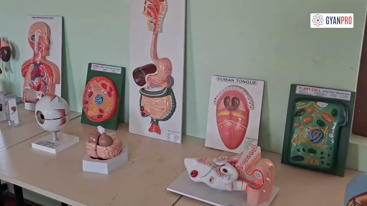 Science Lab | Math Lab | Teaching Aids by GyanPro