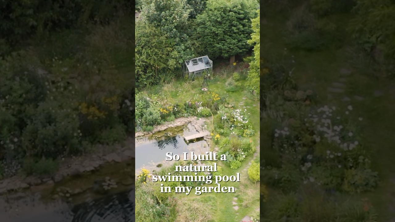 How to build a natural swimming pool in your garden, from someone who knows #naturalswimmingpool