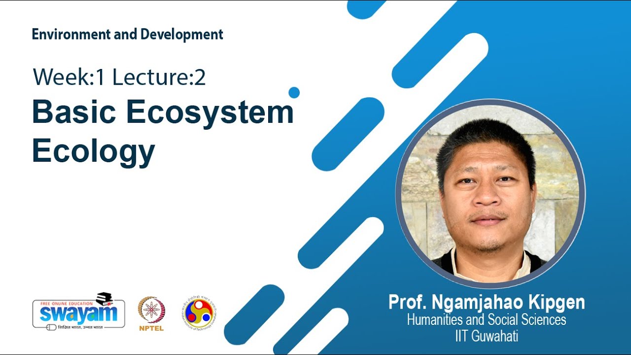 Understanding Basic Ecosystem Ecology: Concepts, Principles, and Human ...