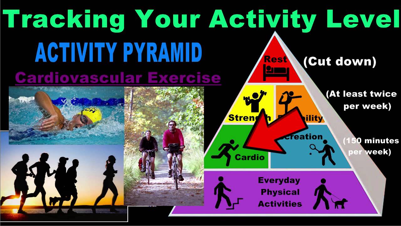 Tracking Your Activity Level