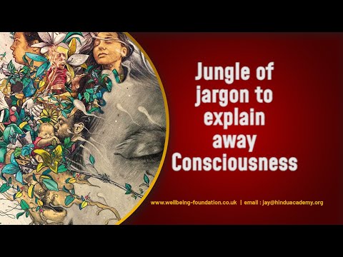 Jungle of jargon to explain away Consciousness
