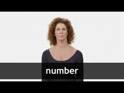 NUMBER definition in American English | Collins English Dictionary