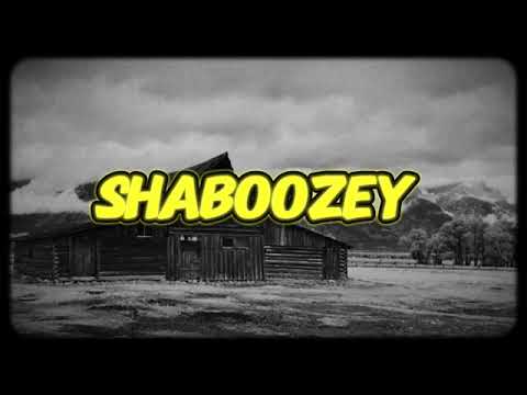 Shaboozey - A Bar Song (Tipsy) (feat. Willy Kay)