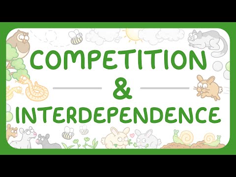 GCSE Biology - Competition & Interdependence