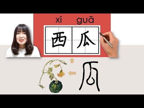 112-150_#HSK2#_How to Pronounce/Say/Write:西瓜/xigua/(watermelon) Chinese Vocabulary/Character/Radical