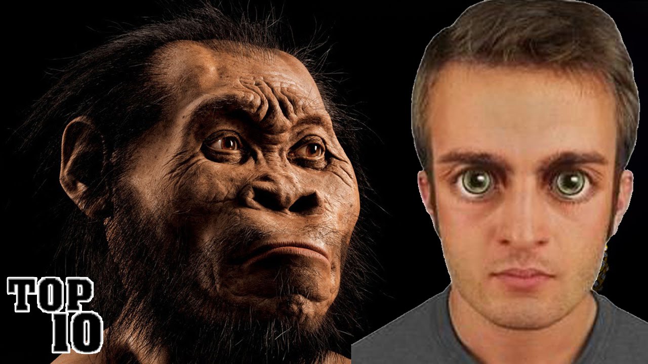 Top 10 Shocking Facts About Evolution