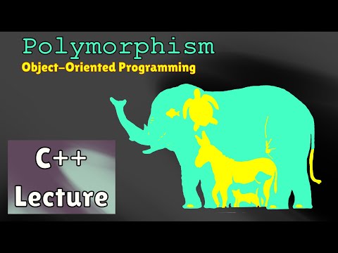 Understanding Polymorphism with C++ | OOP Lecture