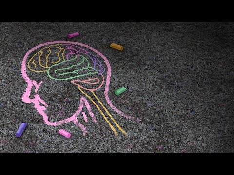 Translational Studies of Inflammatory Factors in Autism