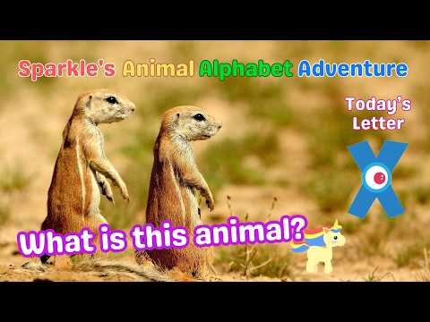 Exciting Animals That Start with X! | Sparkle's Alphabet Adventure
