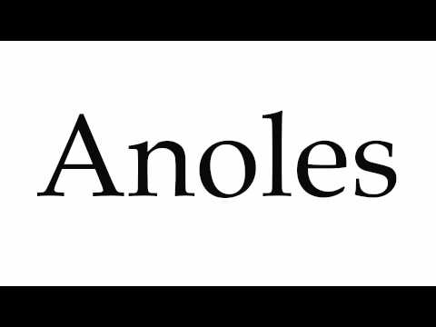 How to Pronounce Anoles
