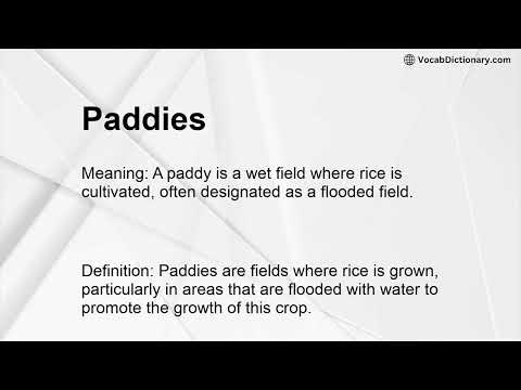 Paddies Meaning