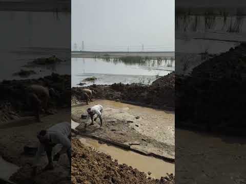 Stone Soling work #civilengineering#ashdam#earthwork#concrete#cement#water#shortvideo#youtubeshorts