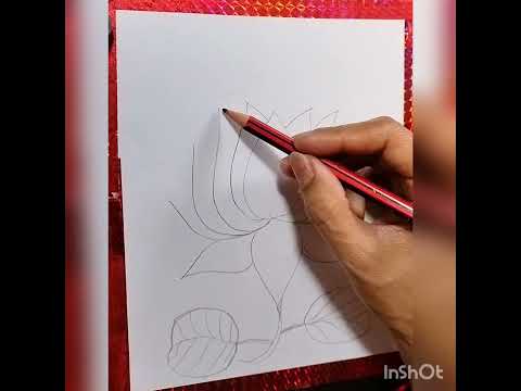 Lotus Flowers' Drawing #shorts #youtubeshorts