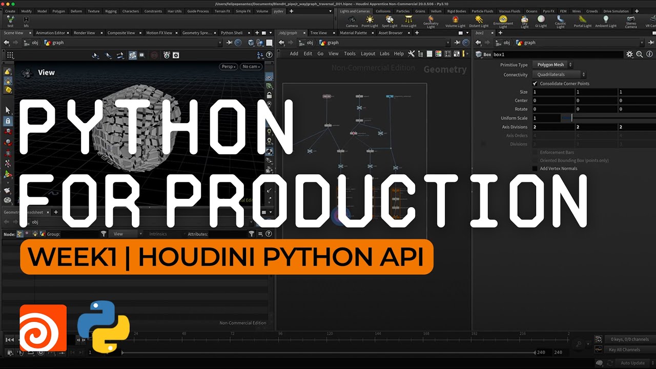 Houdini Python API | Python For Production Week 1 (Free Lessons from a Pro Developer)