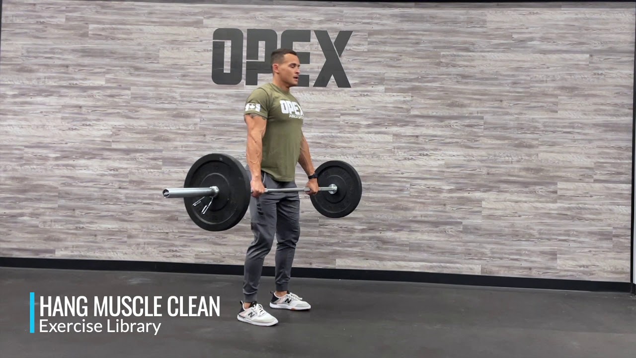 Hang Muscle Clean
