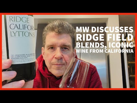 WINE COLLECTING: Fantastic Value for Cellaring