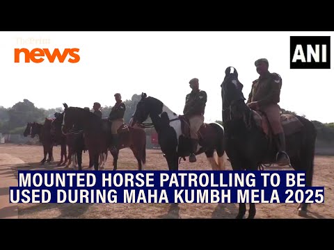 American, English & Indian horse breeds to be used for mounted Police patrolling in Maha Kumbh Mela