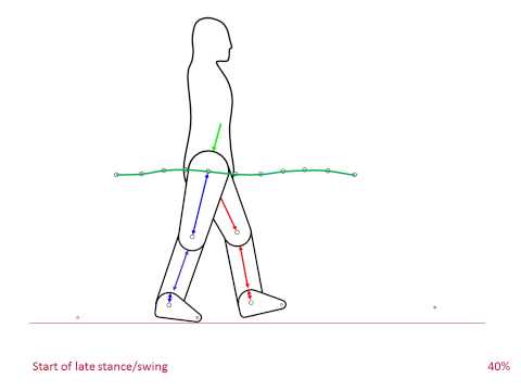 Why we walk the way we do | Walking with Richard