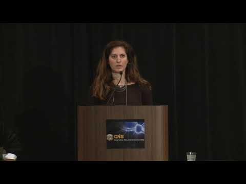 The Relation Between Psychology and Neuroscience