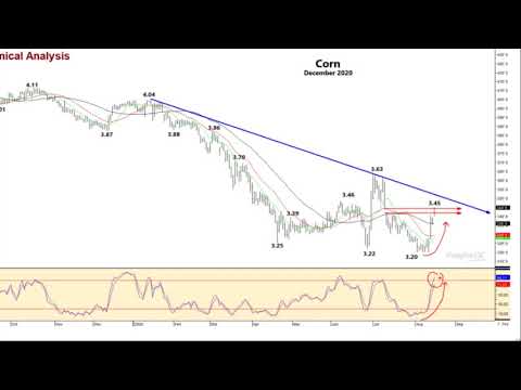 December Corn Chart 8-17-20 | Heartland Farm Partners