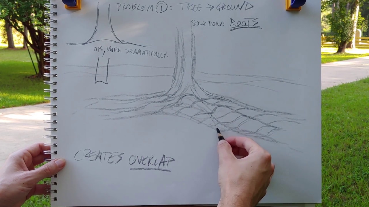 Landscape: Drawing Tree Roots (into the Ground)