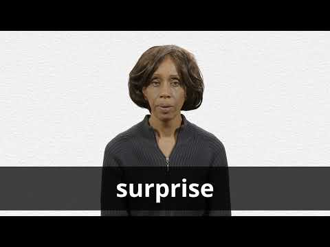 SURPRISE - Definition & Translations | Collins English Dictionary