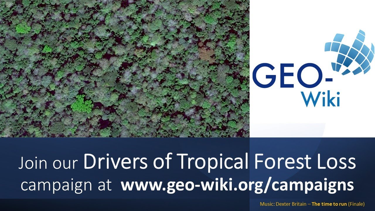 Drivers of Tropical Forest Loss - Importance of tropical forests
