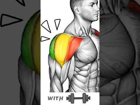 Intense 3D Shoulder Workout with Dumbbells