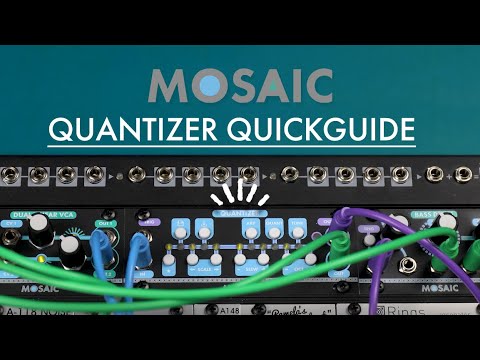 Mosaic Quantizer (1U Intellijel format) 2021 White | Reverb