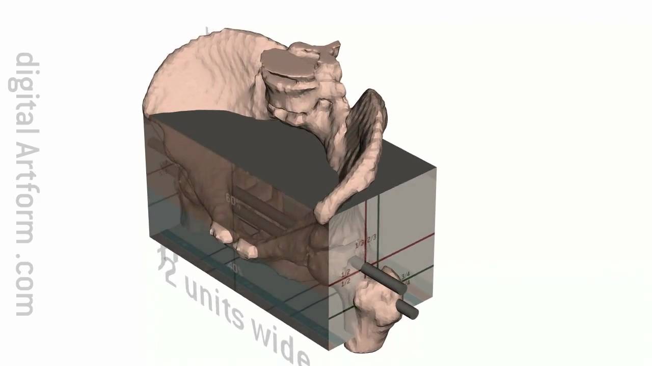 Artistic Anatomy: Proportions of the Pelvis