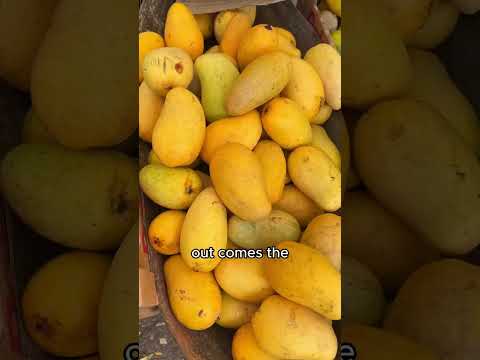 Guide to Hawaiian Fruit Seasons