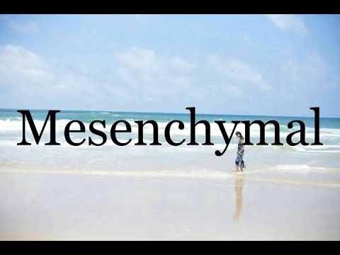 How To Pronounce Mesenchymal🌈🌈🌈🌈🌈🌈Pronunciation Of Mesenchymal