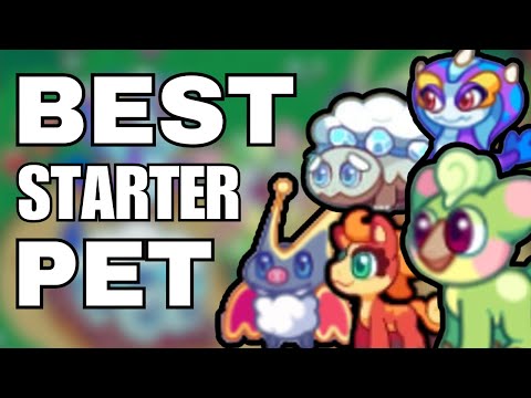 The *BEST* Starter Pet in Prodigy 2024! (Must Choose) | Prodigy Math Game