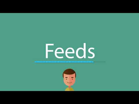 Feeds pronunciation