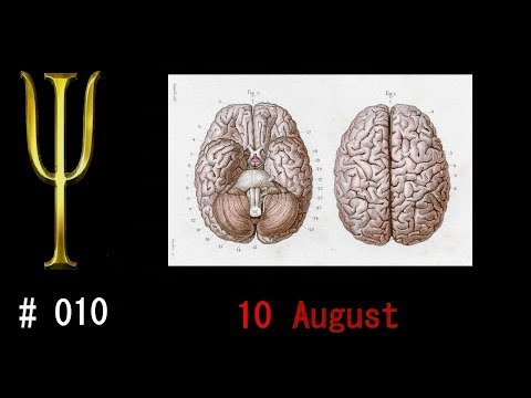 Eidetic Memory - Psychology Term Of The Day