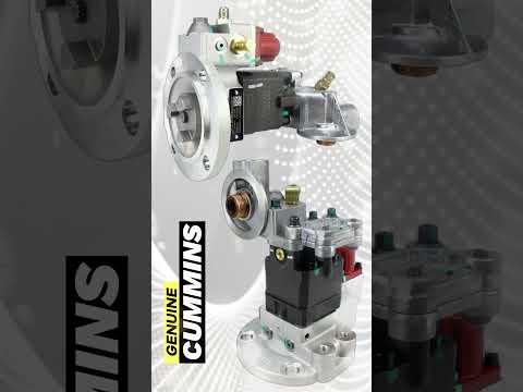 Fuel injection pump Cummins 3090942 genuine. #review #cummins #youtubeshorts #trending #like #top