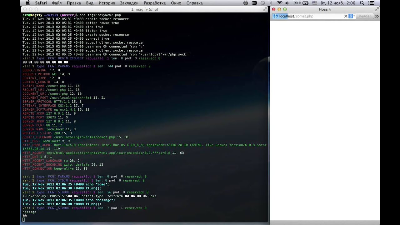 How nginx talks to php-fpm using FastCGI protocol