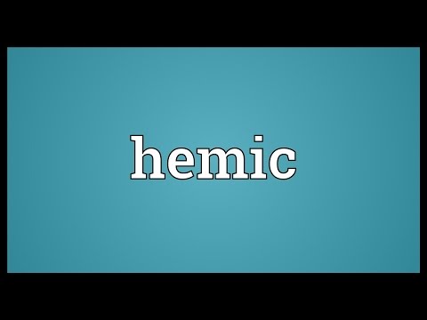 Hemic Meaning