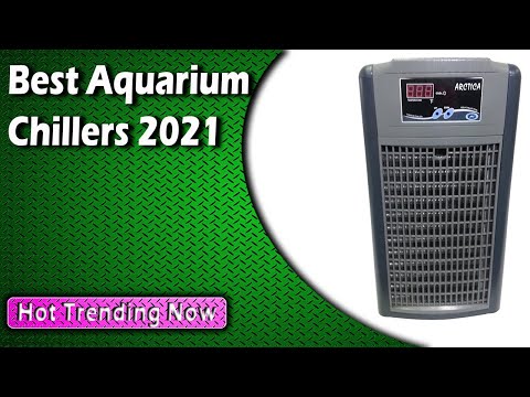 Best Aquarium Chillers 2022