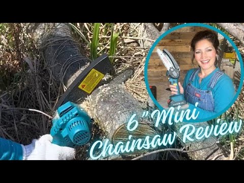 SeeSii 6" Mini Chainsaw Review Everything you Need to KNOW! Complete Overview of Parts and Operation