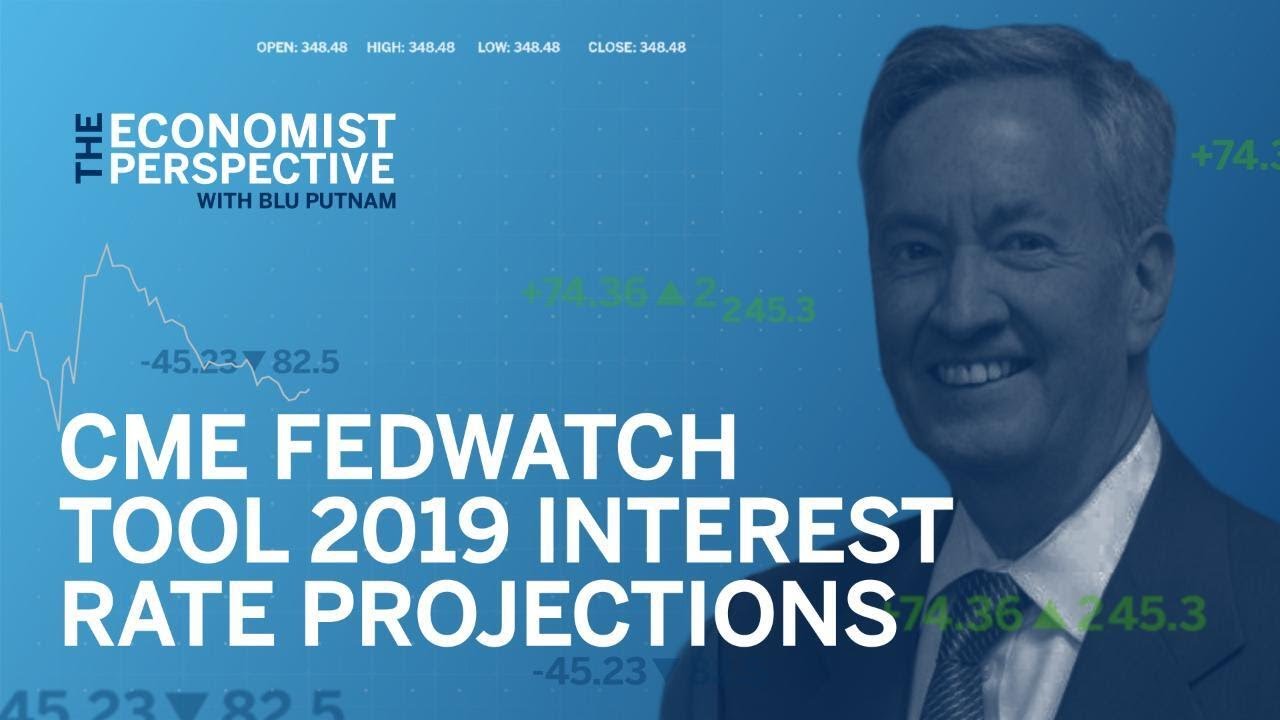 Economist Perspective: CME FedWatch Tool 2019 Interest Rate Projections
