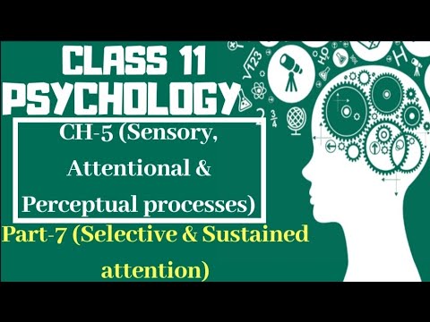 Selective and Sustained attention Video Lecture - Psychology for Grade 11