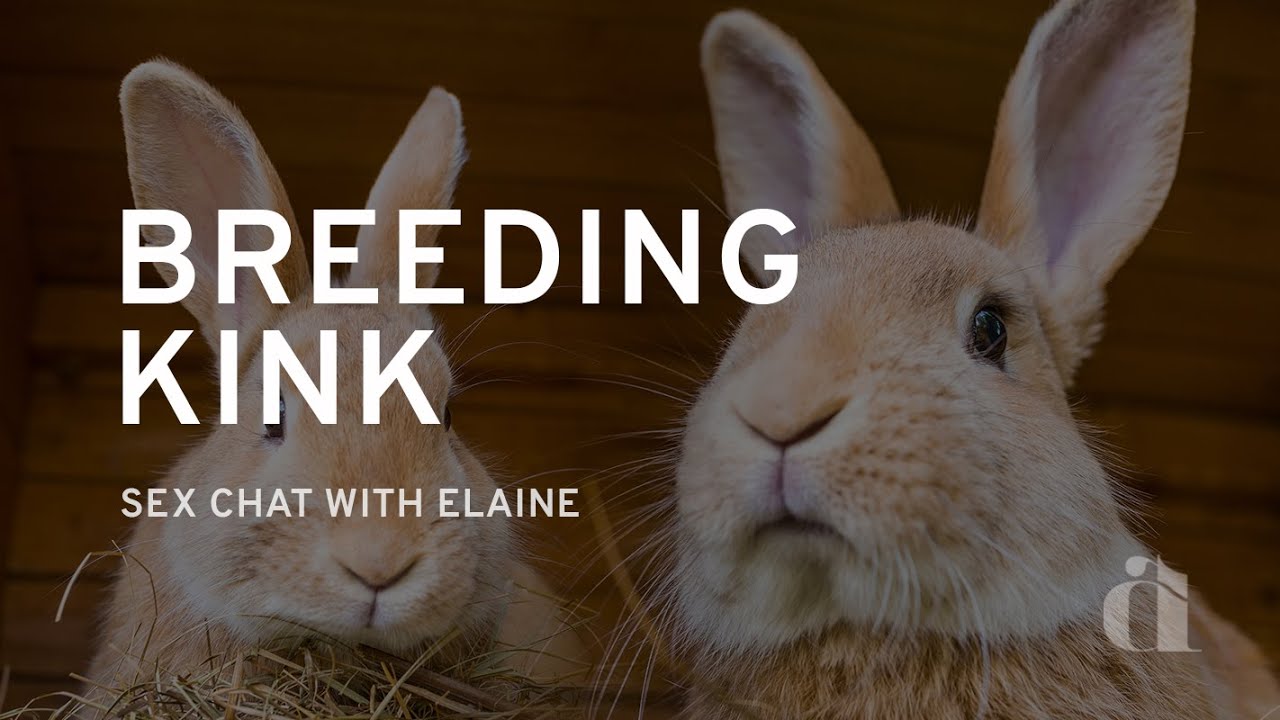 What is a Breeding Kink? Sexologist Explains All