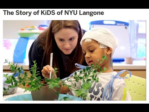 The Story of KiDS of NYU Langone