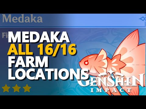 Medaka Genshin Impact All Locations