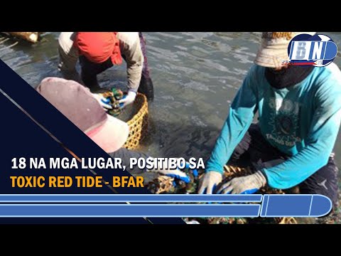 18 Na Mga Lugar, Positibo Sa Toxic Red Tide - BFAR | Bullet News PH