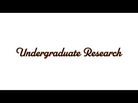 Undergraduate Research