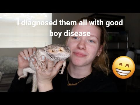 MEET ALL OF MY 10+ PETS!! | Wellness Check!