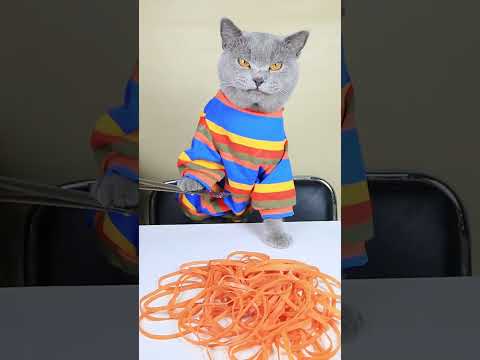 Oddly Satisfying Video To Reduce Your Stressπ΄πΊ| Cat TikTok Challenge #funnycat #catsoftiktok #shorts